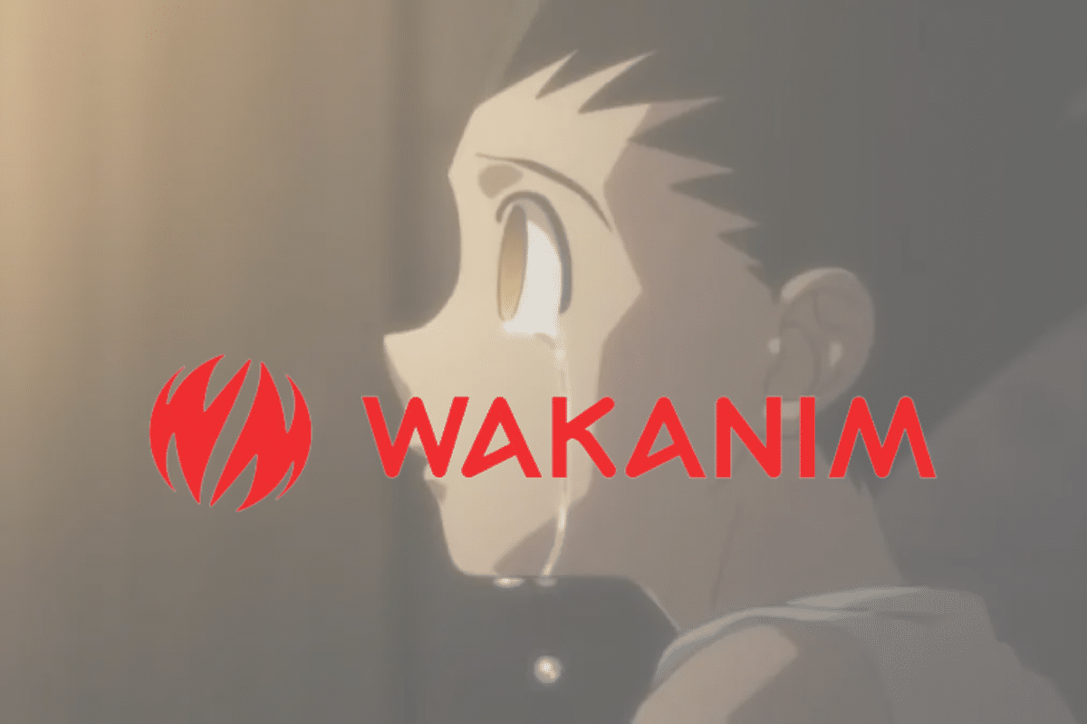 Wakanim tire sa révérence, la célèbre plateforme de streaming d'animes ...